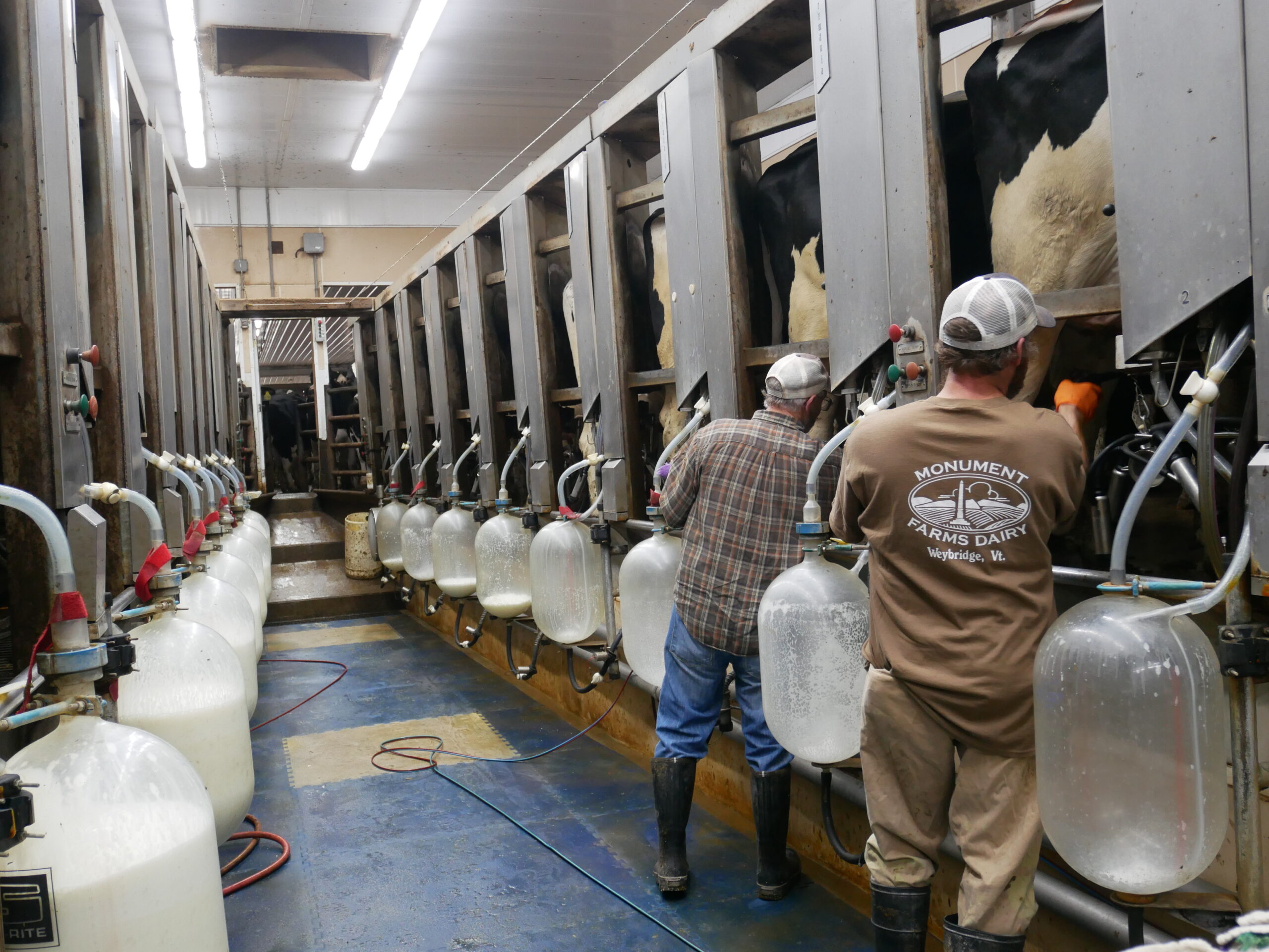 Monument Farms Dairy Set to Grow Their Beloved Vermont Milk Brand ...